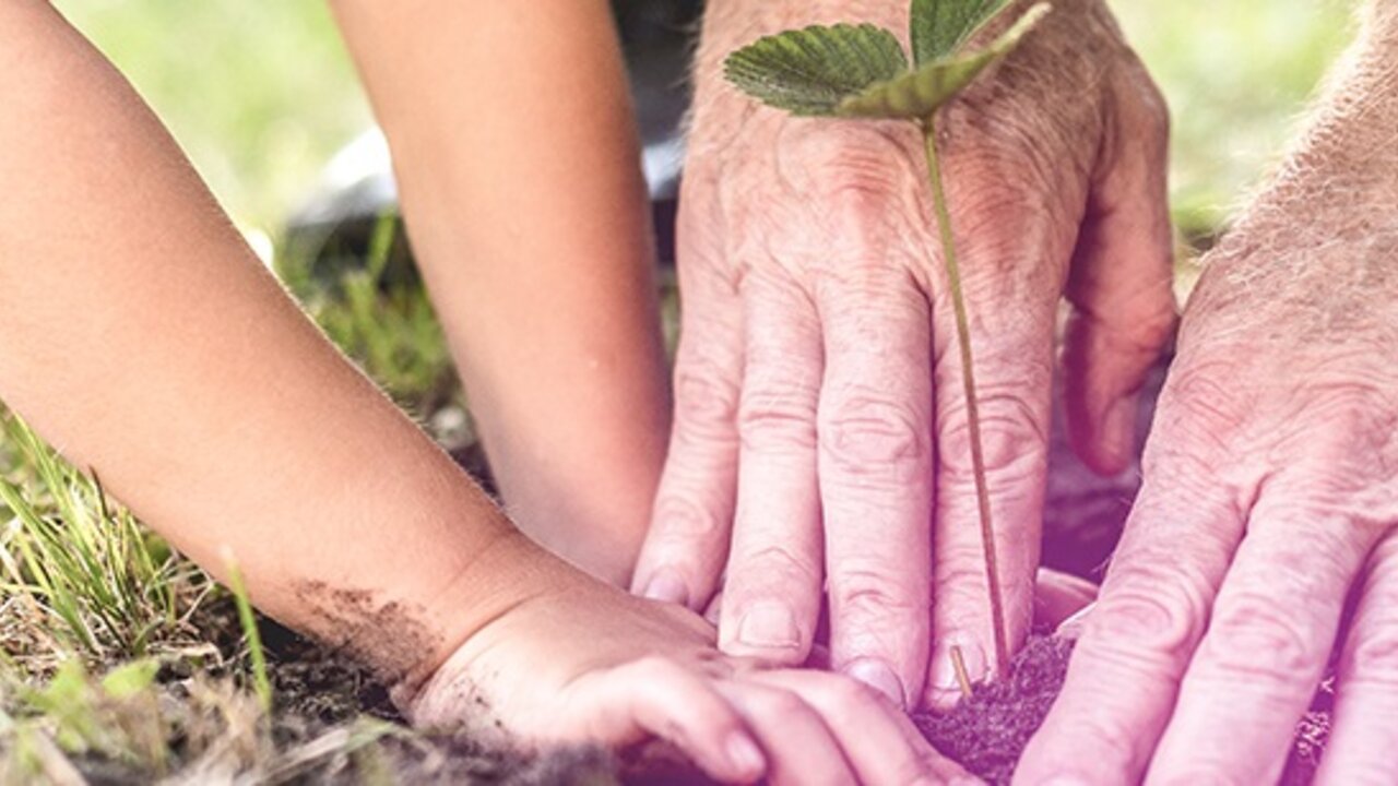 Corporate Social Responsibility - GEMS Schindhelm Turkey